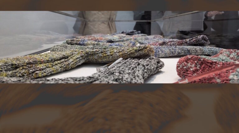 „Wo ist Hannas Arbeit?“ – graswurzelrevolution